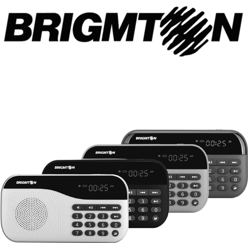 Brigmton Bt 12A Instruction Manual BCD 501