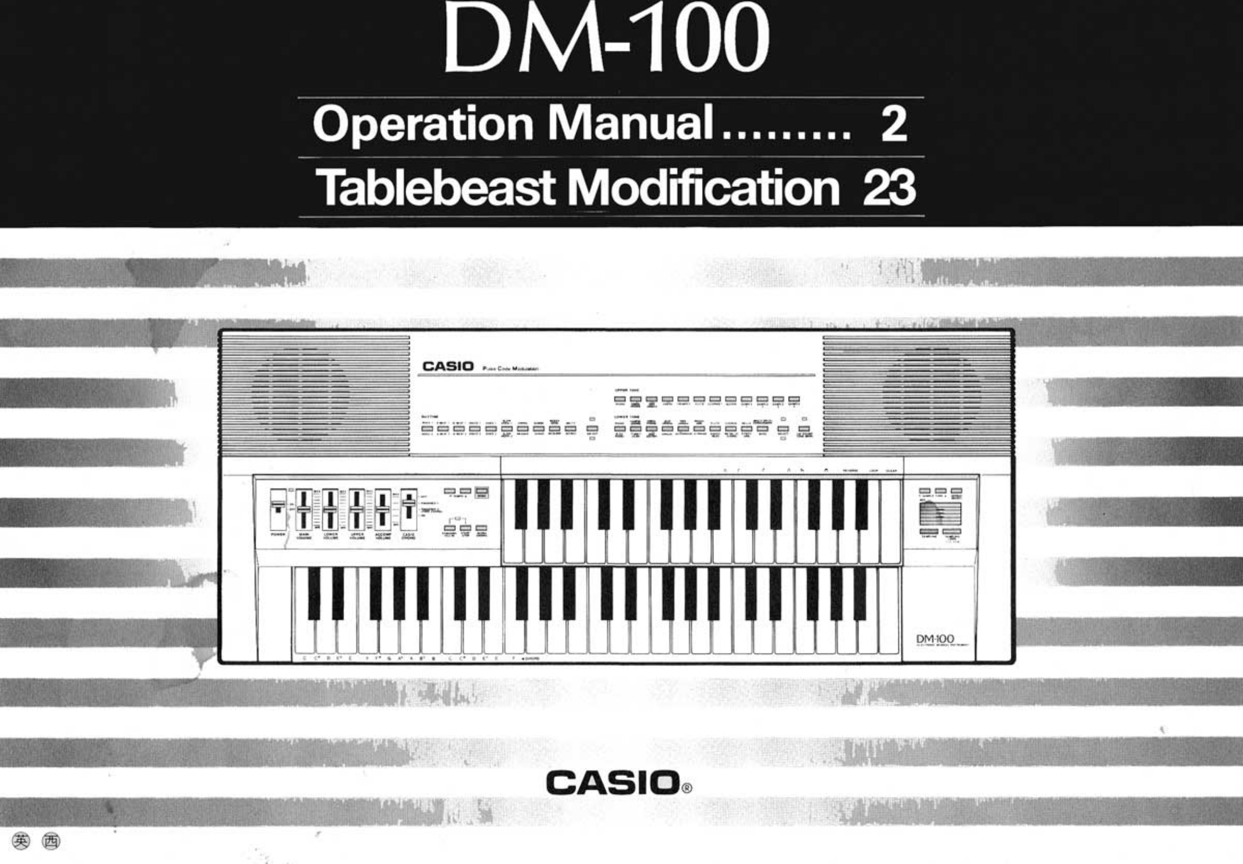 Casio Electronic Keyboard Dm 100 Users Manual Owner's