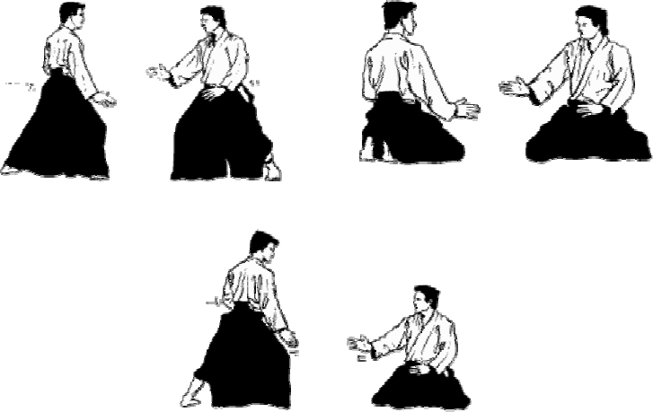 ki no nagare - Aikido Tarn
