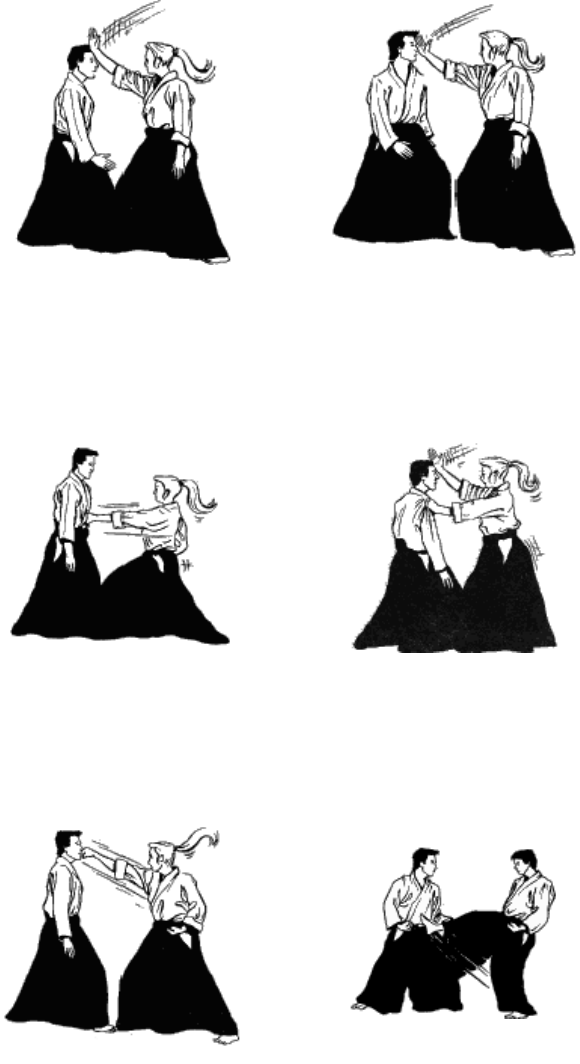 Aikido Techniques Pdf