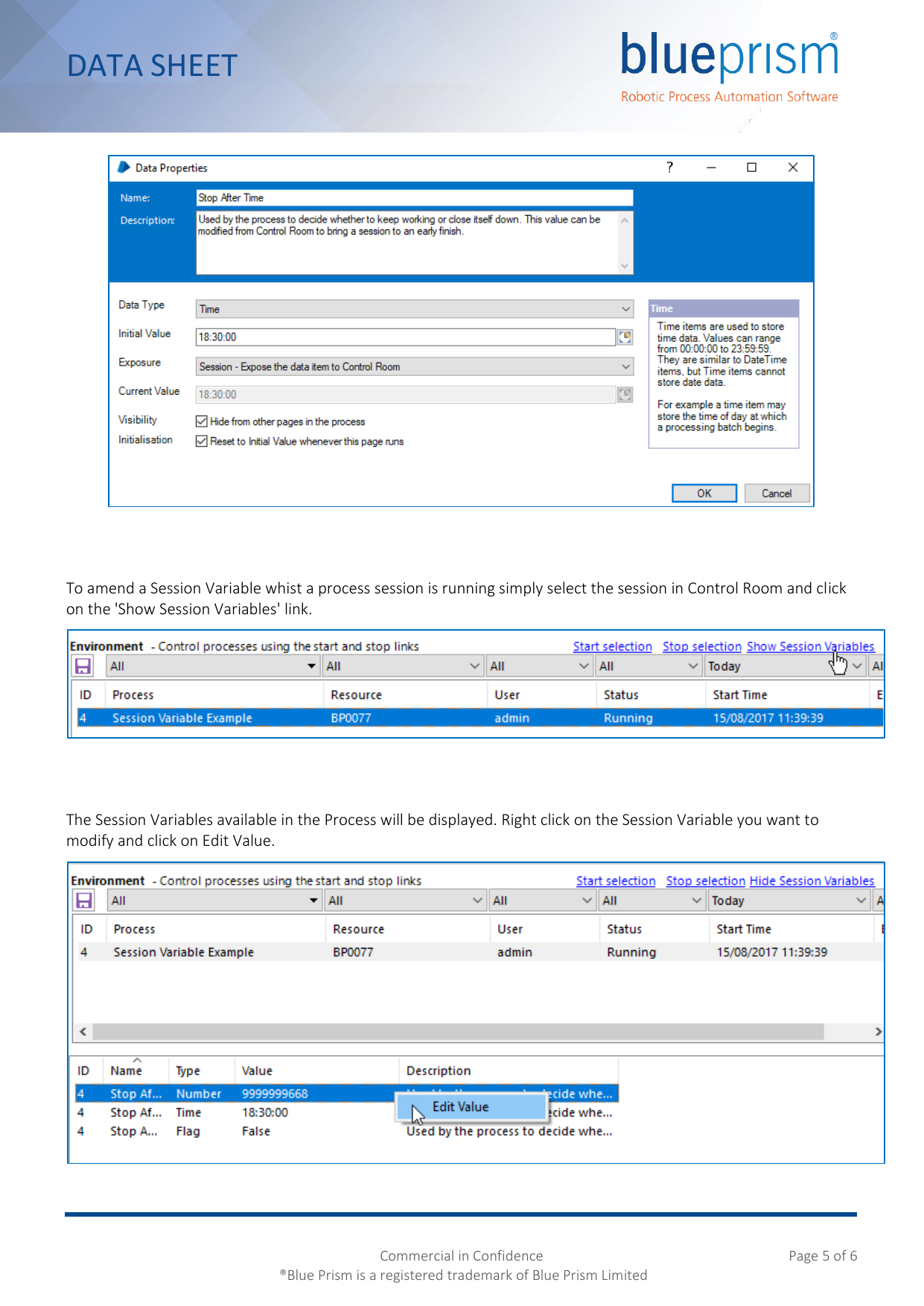 Environment And Session Variables Blue Prism Guide