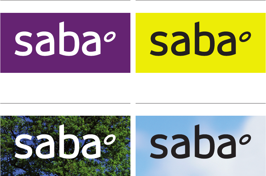 Manual Basico Saba
