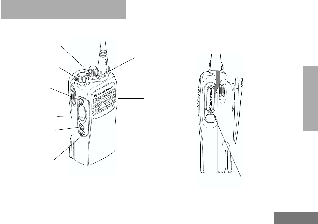 PRO5550 PRO5650™ Radios Portátiles Guía Del Usuario Manual Motorola PRO ...
