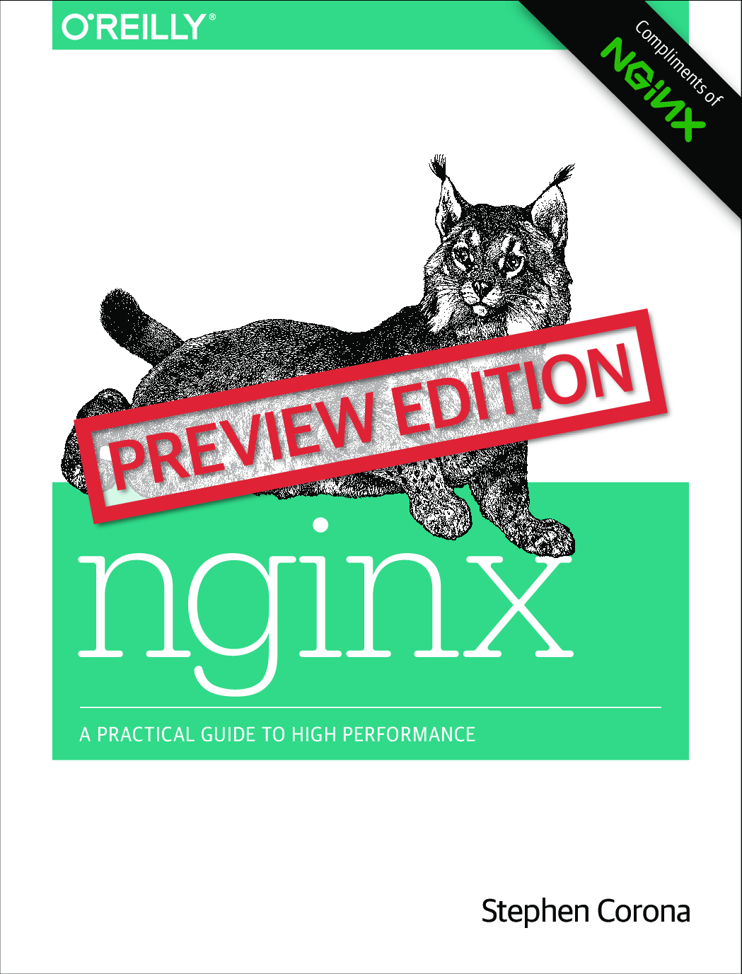 Nginx A Practical Guide Preview Edition