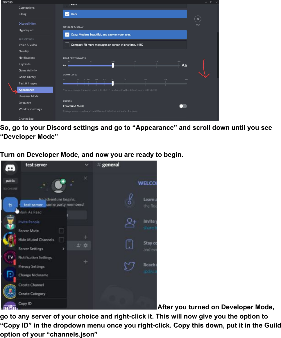 Pingcord Instructions