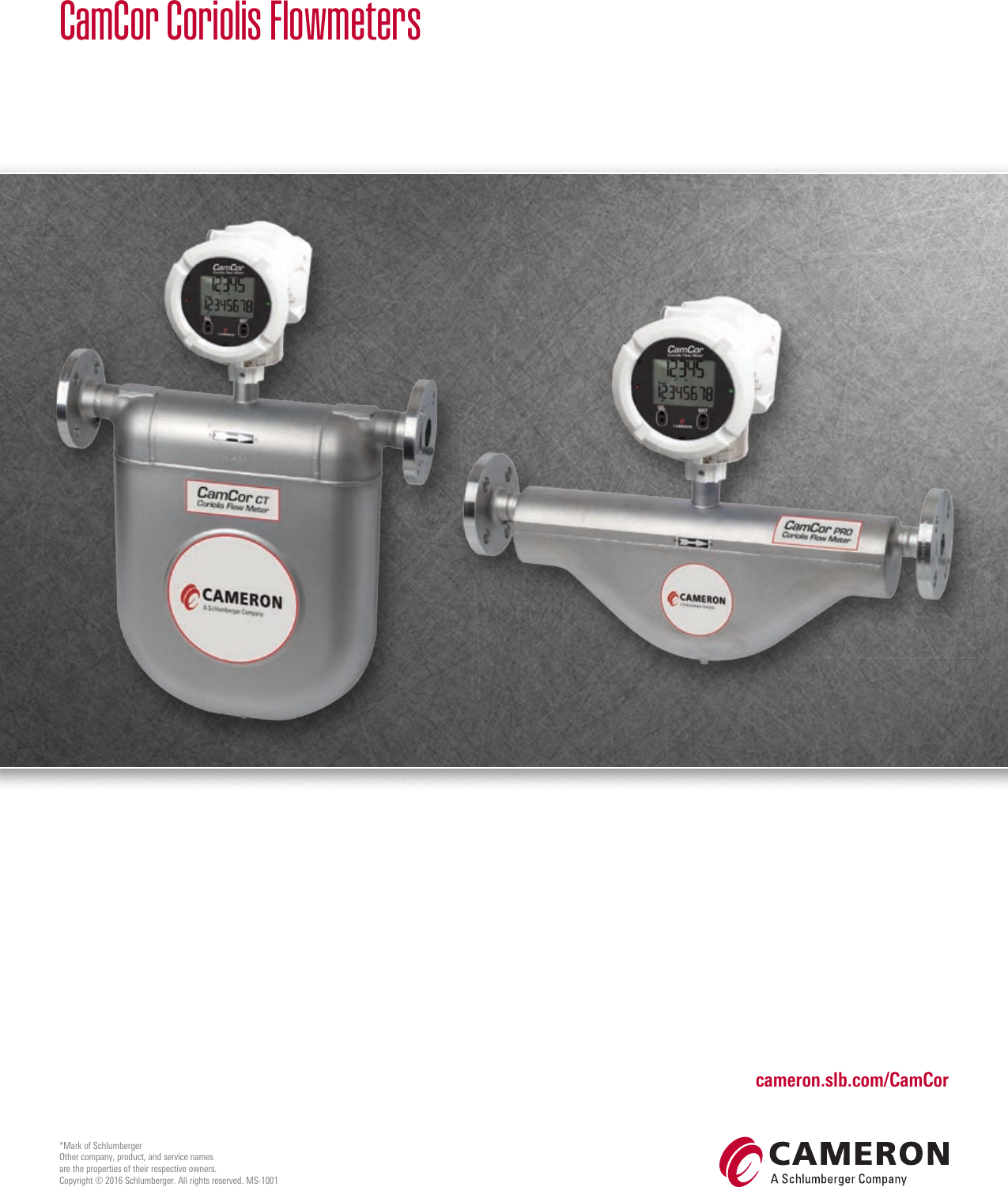 Camcor coriolis flow meters brochure