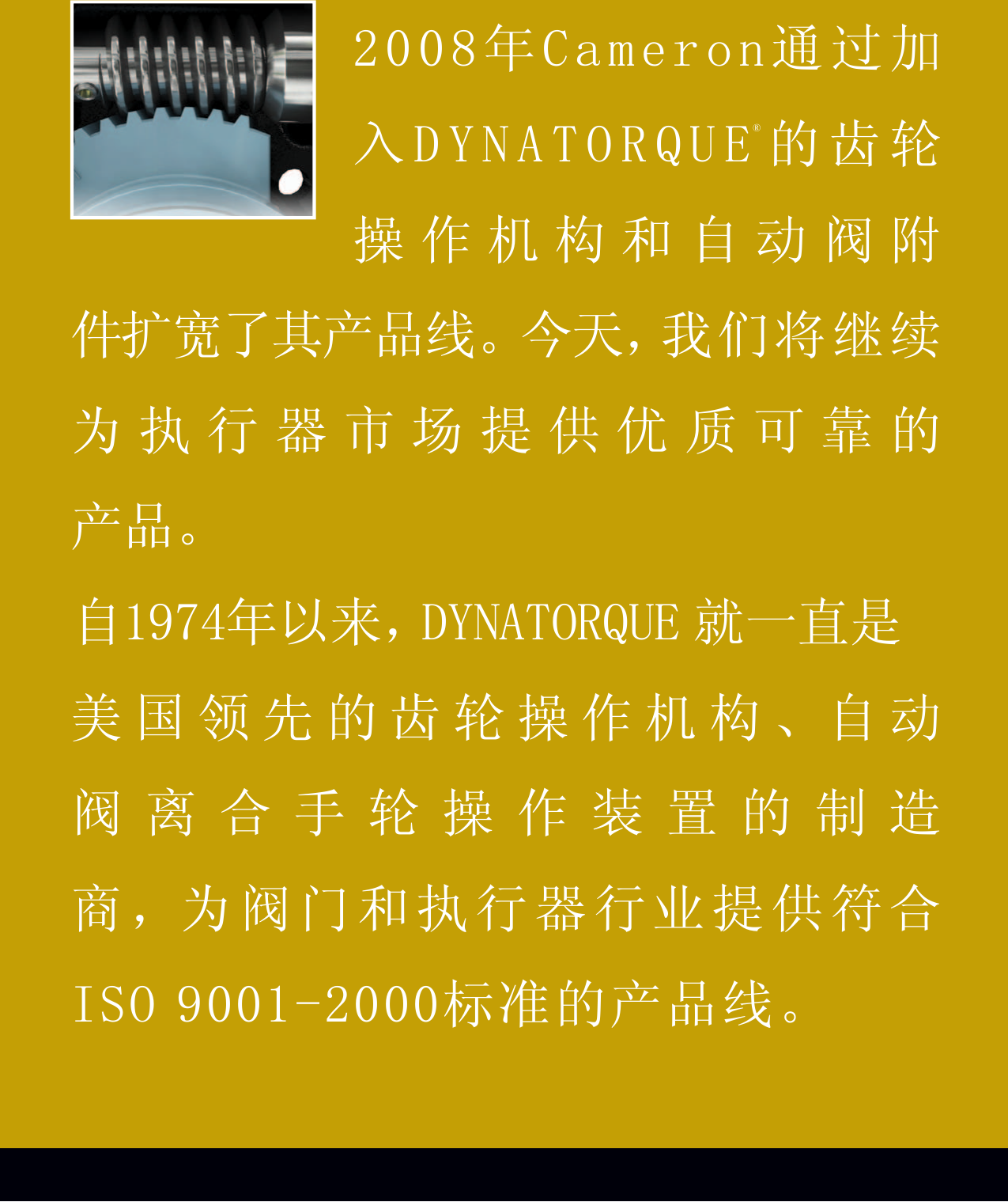 Dynatorque gears and automated valve accessories brochure chinese