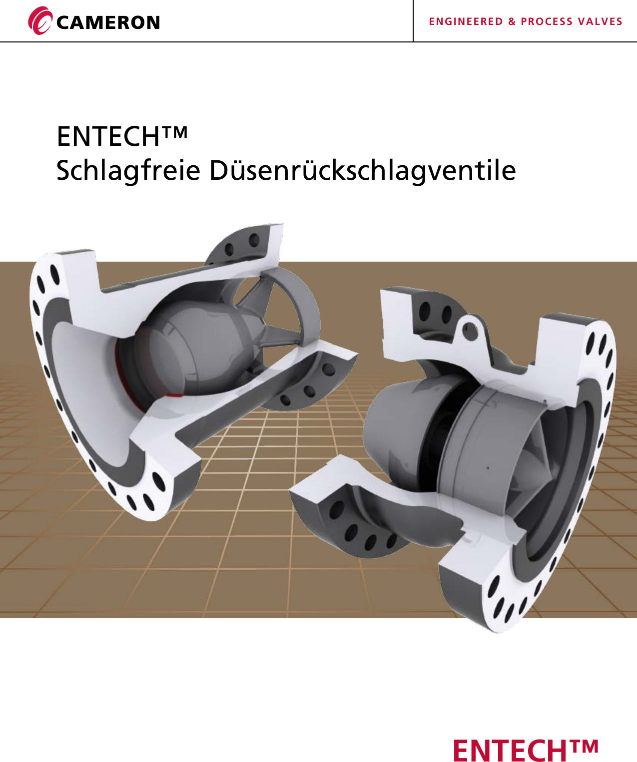 ENTECH Nozzle Check Valves Brochure German valve