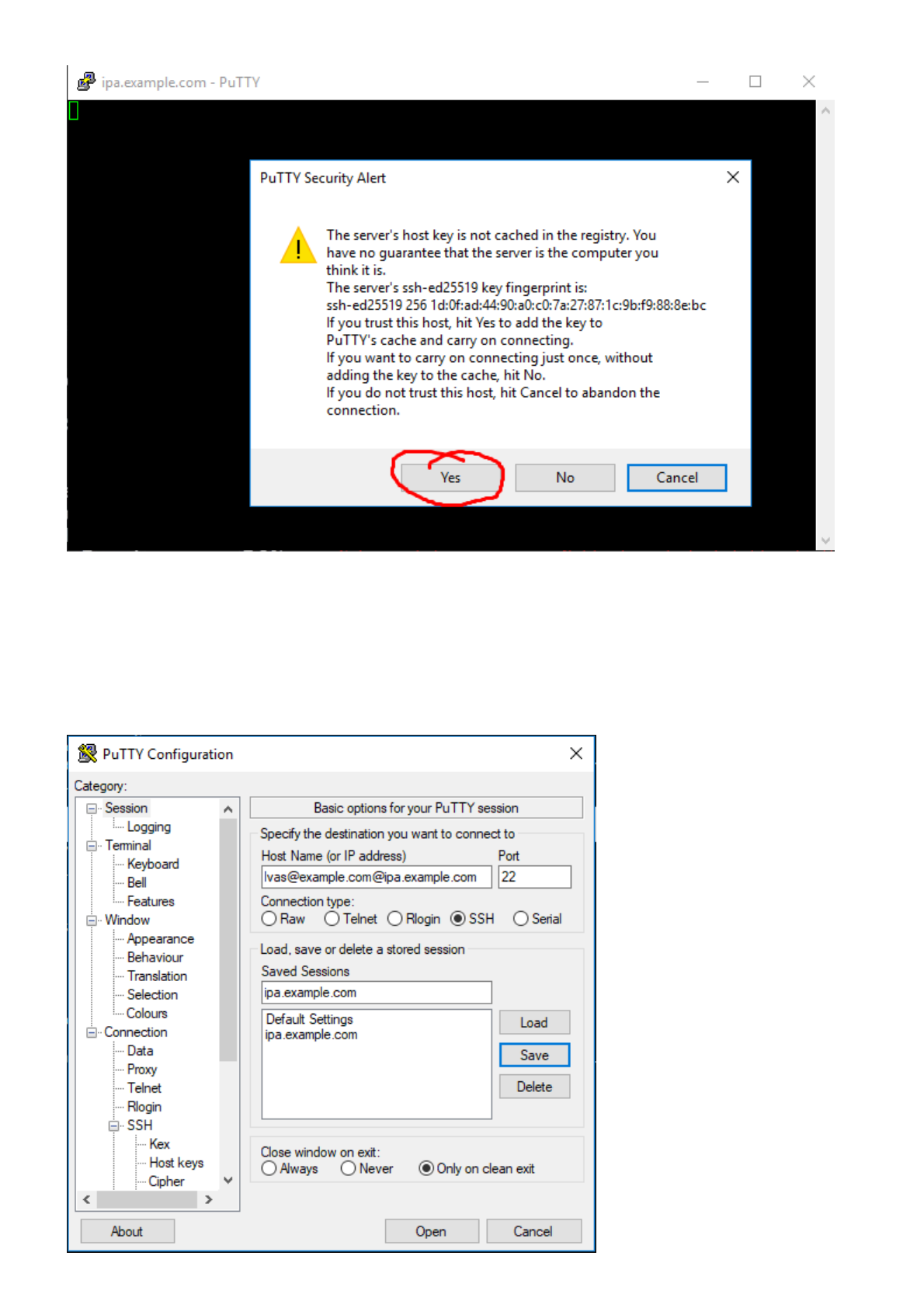 Ipa lab instructions
