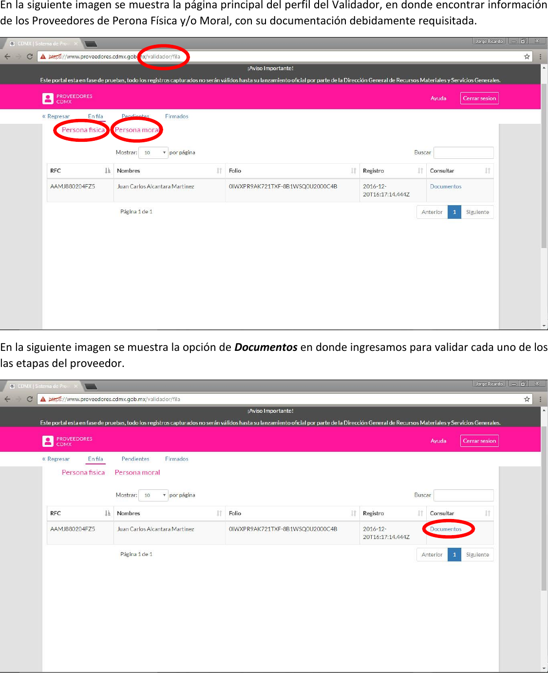 MANUAL DE USUARIO Perfil Validador