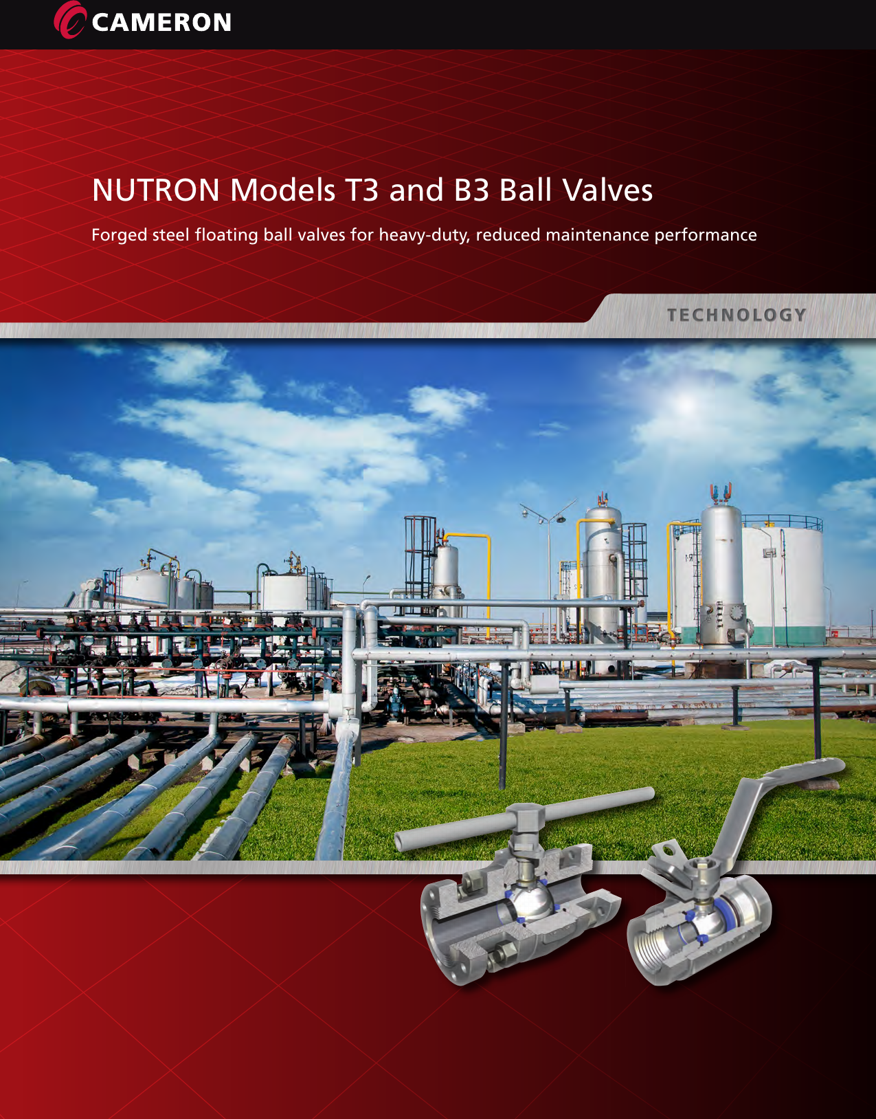 NUTRON S T3 And B3 Ball Valves Brochure