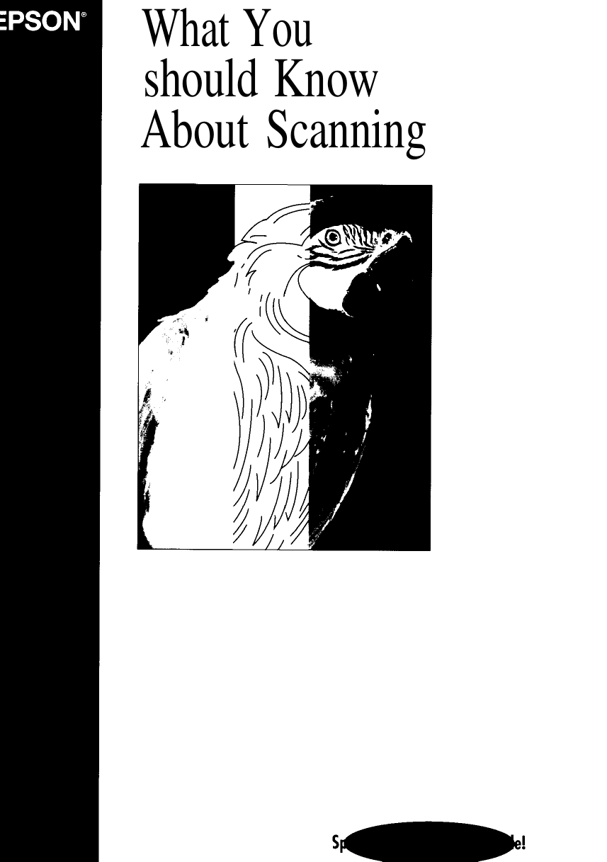 Epson Actionscanning System User Setup Information ES 800C/600C/300C ...