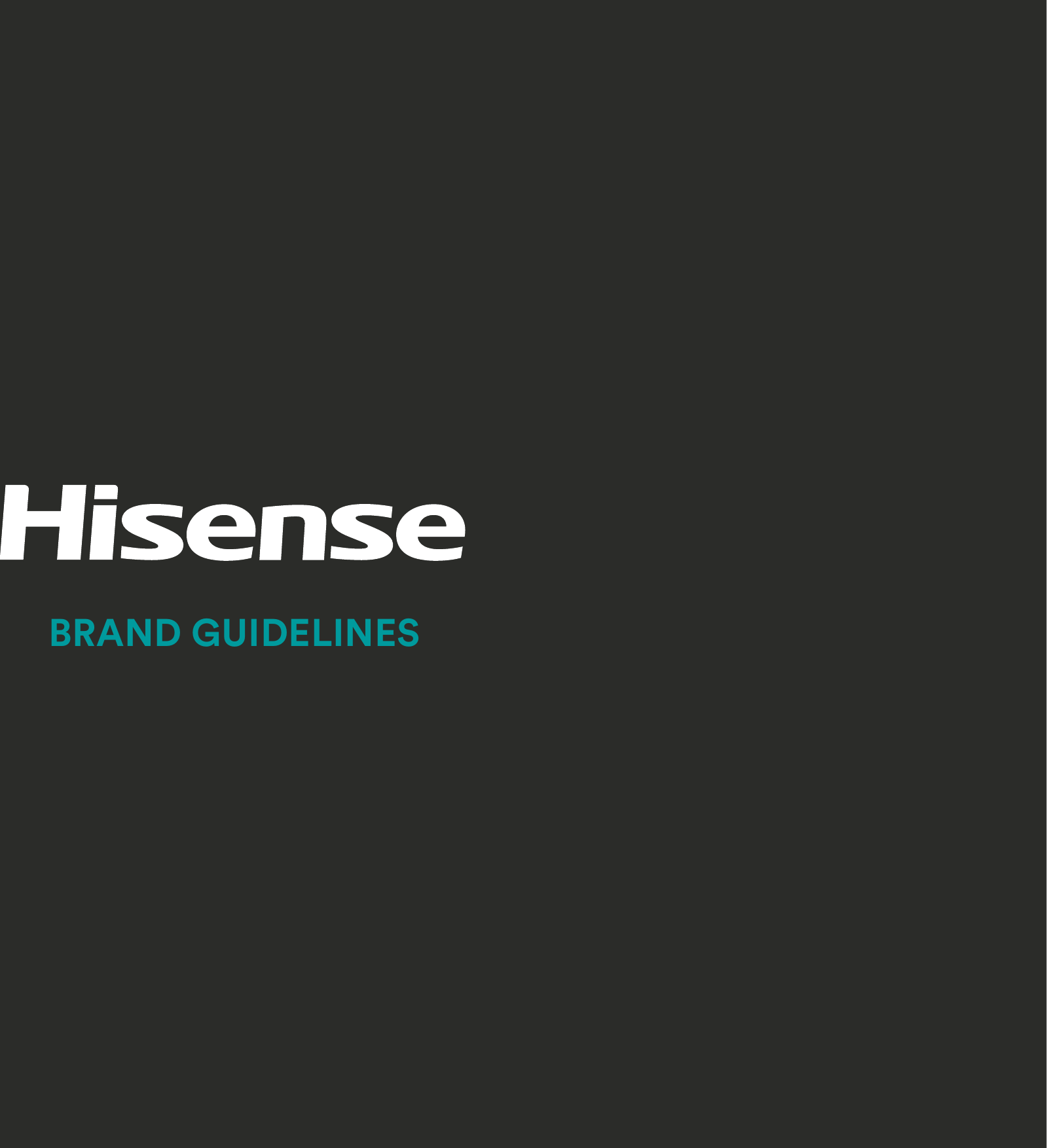 Hisense Brand Guidelines V8 1