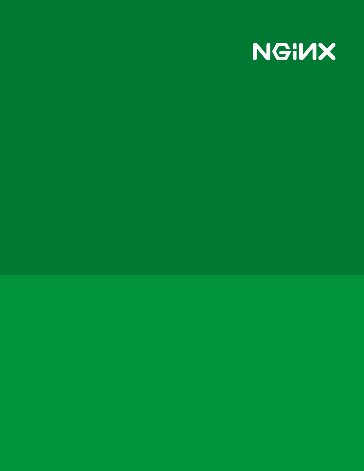 nginx logo guidelines