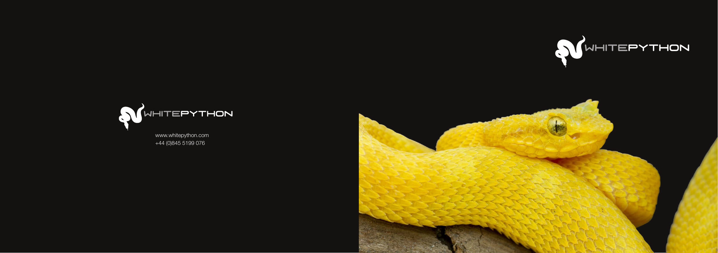 White Python Brochure