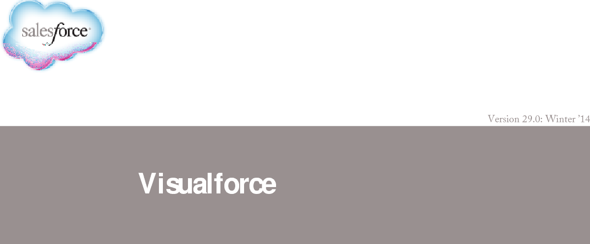 Salesforce Pages Developers Guide