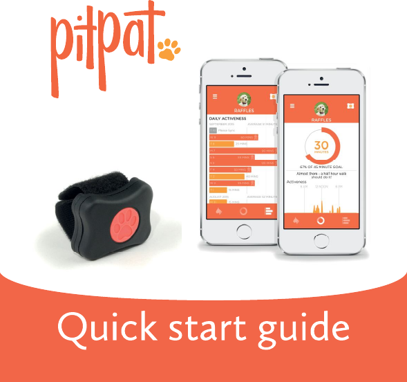 Pitpatpet PP01 PitPat Dog Activity Monitor Discussion and FAQ