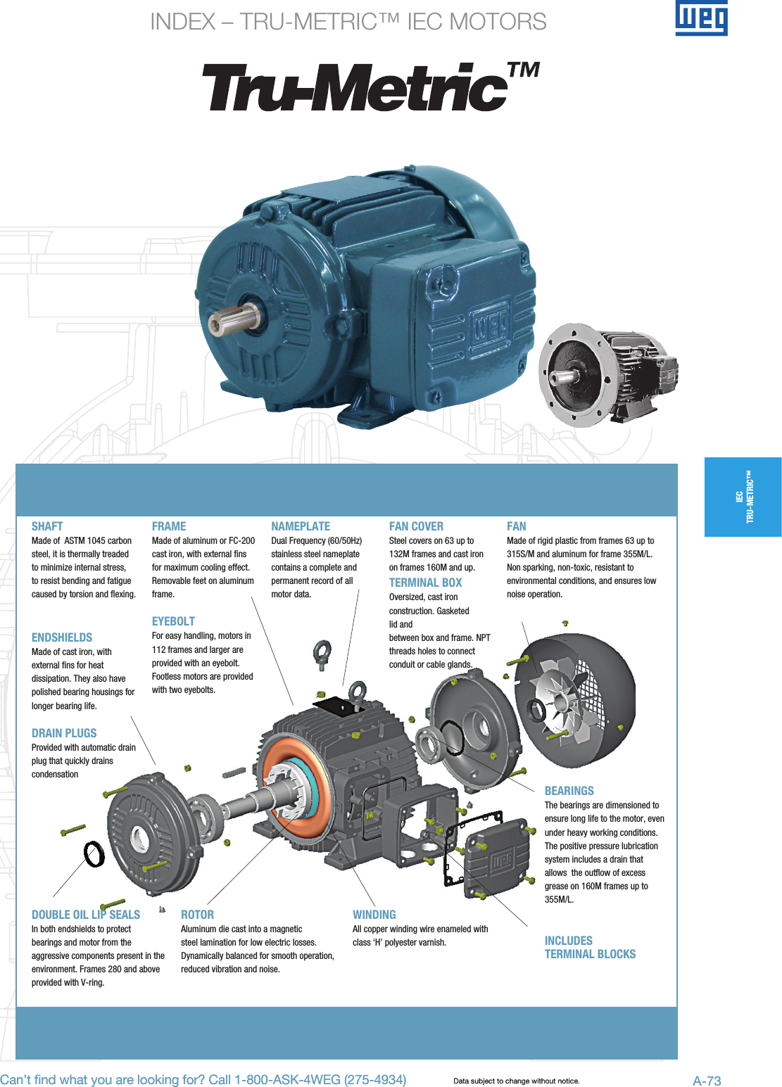 101058 1 Weg Iec Tru Metric Motor Brochure User Manual