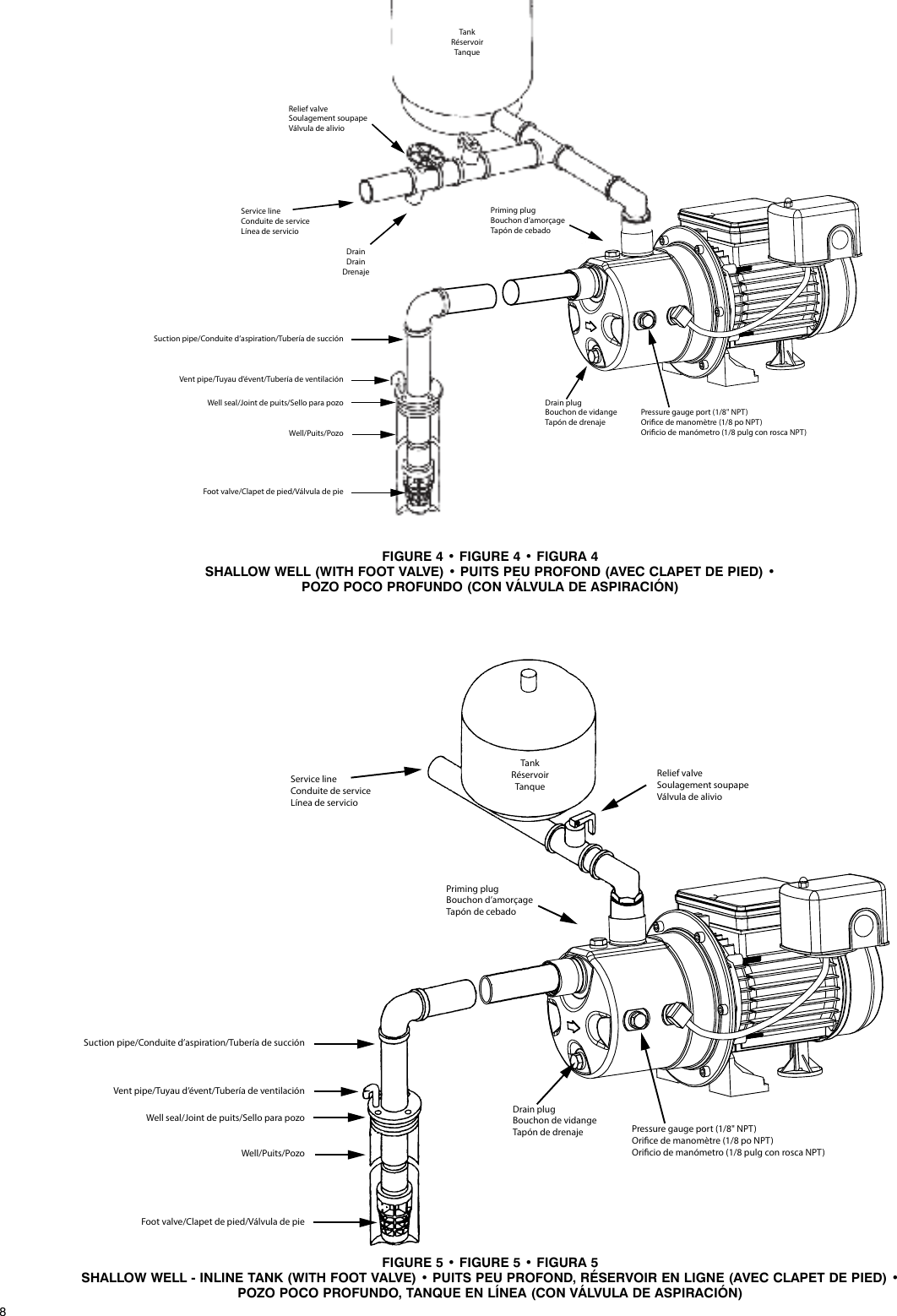 548451 3 Red Lion Stainless Steel Shallow Well Jet Pump Installation ...