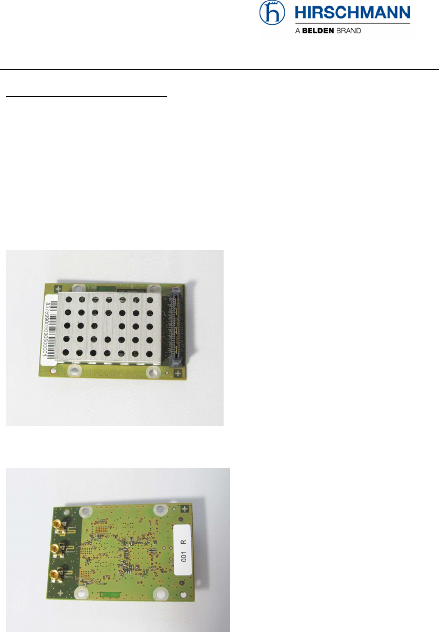 Hirschmann Automation and Control EWLAN1 802.11abgn Module User Manual ...